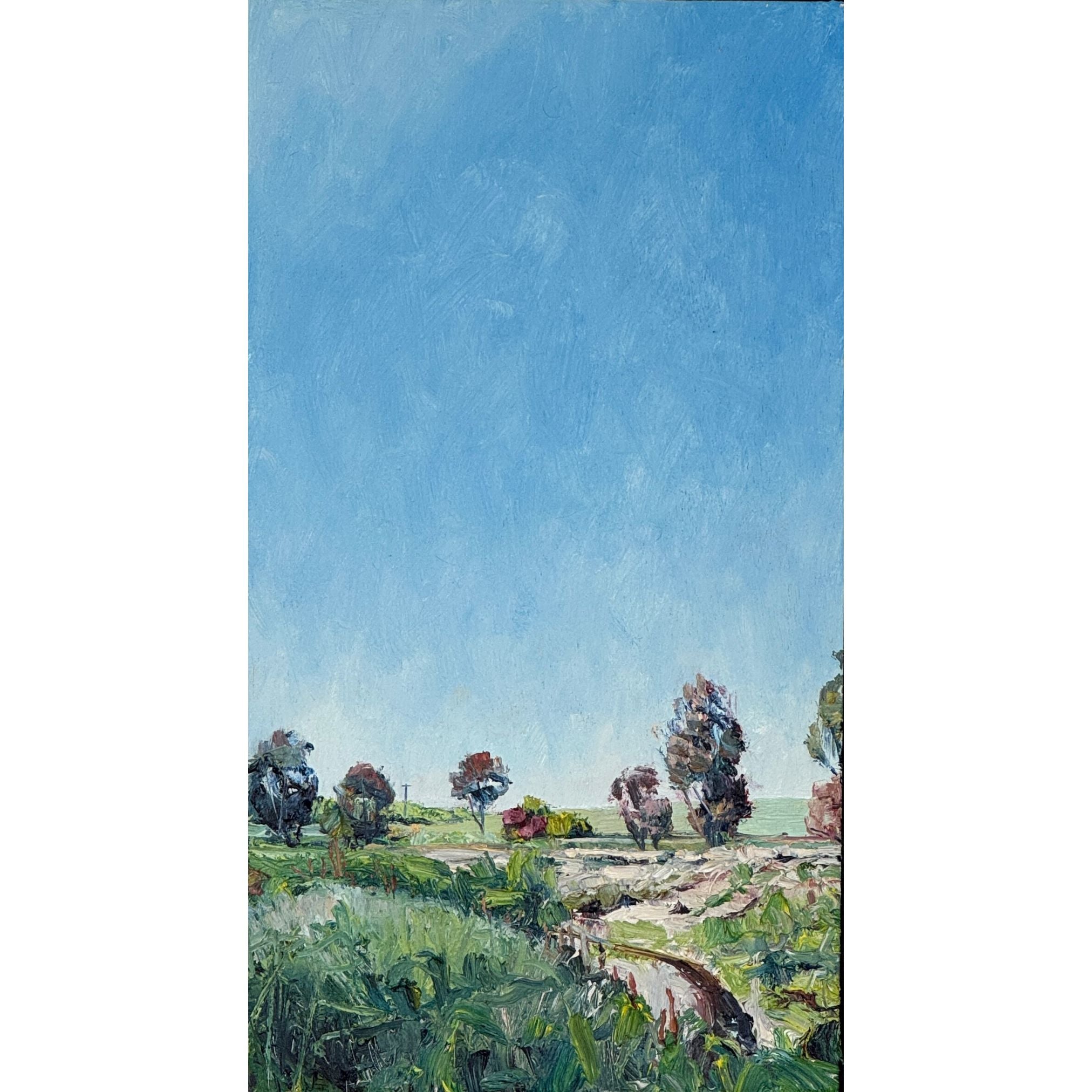 James Lyle - Mid Morning Sun, Evans Plains Creek – sarahbirtles