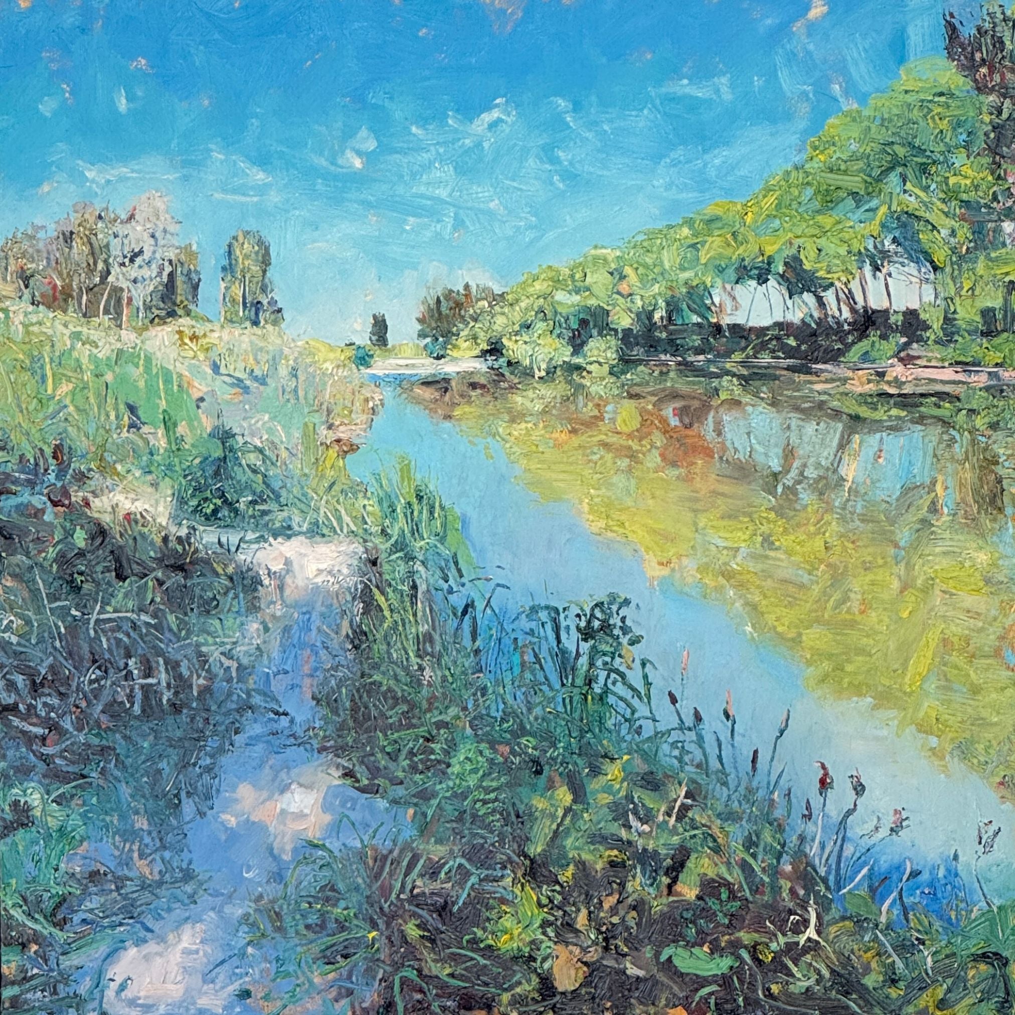 James Lyle - Morning at the Macquarie River near Evans Plains Creek ...