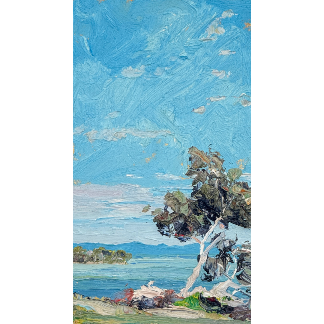 James Lyle - Sun on Wallis Lake, Booti Booti – SARAH BIRTLES Art + Advice