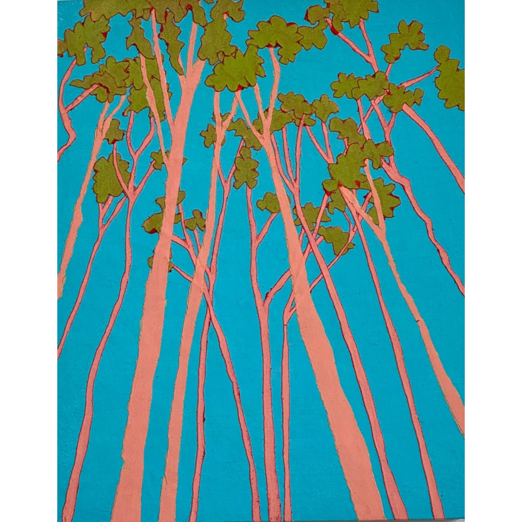 Jan Spencer - Pemberton Karris, Munda Biddi Trail, Bibbulmun Country ...