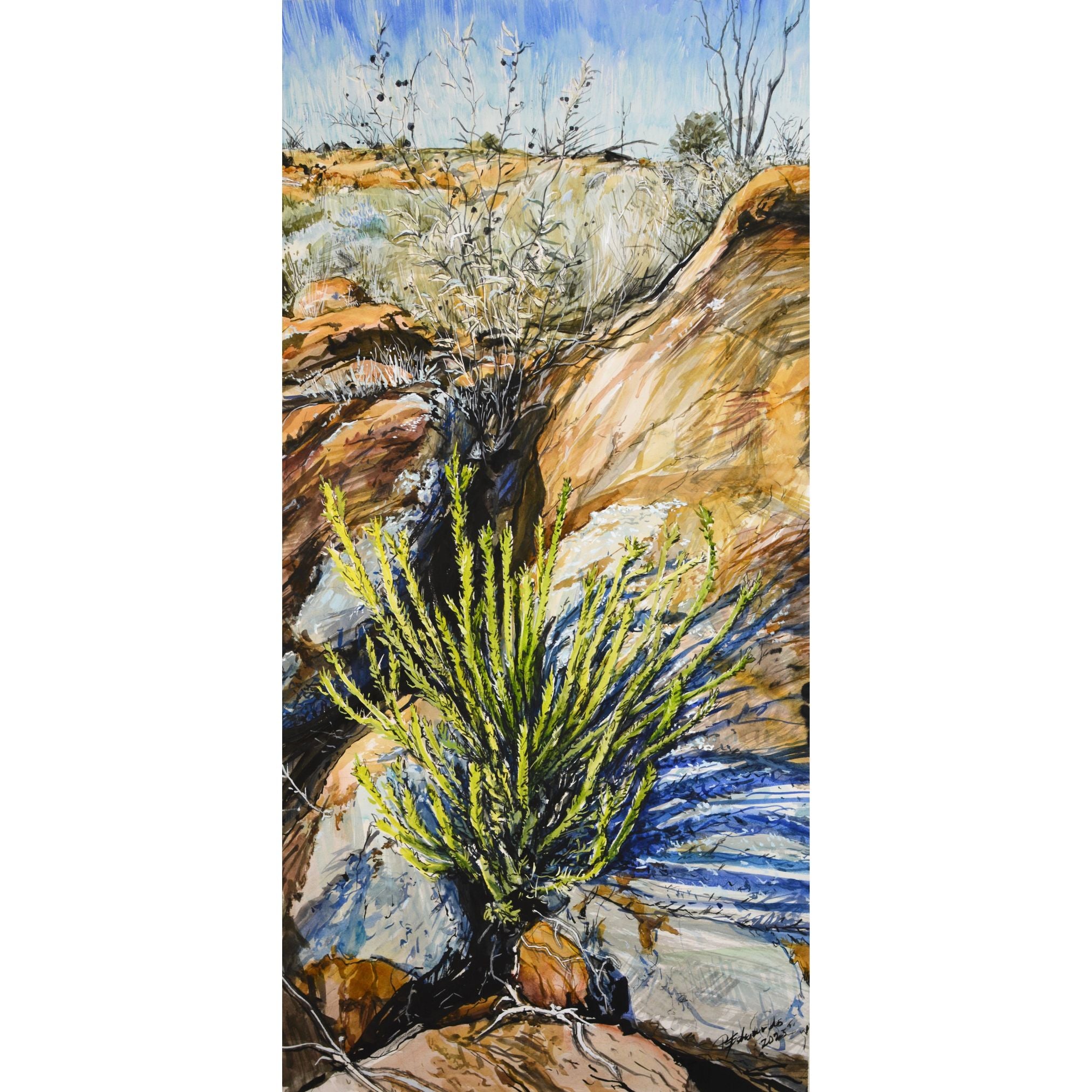 Phillip Edwards - Colour Burst in the Dry – SARAH BIRTLES Art + Advice