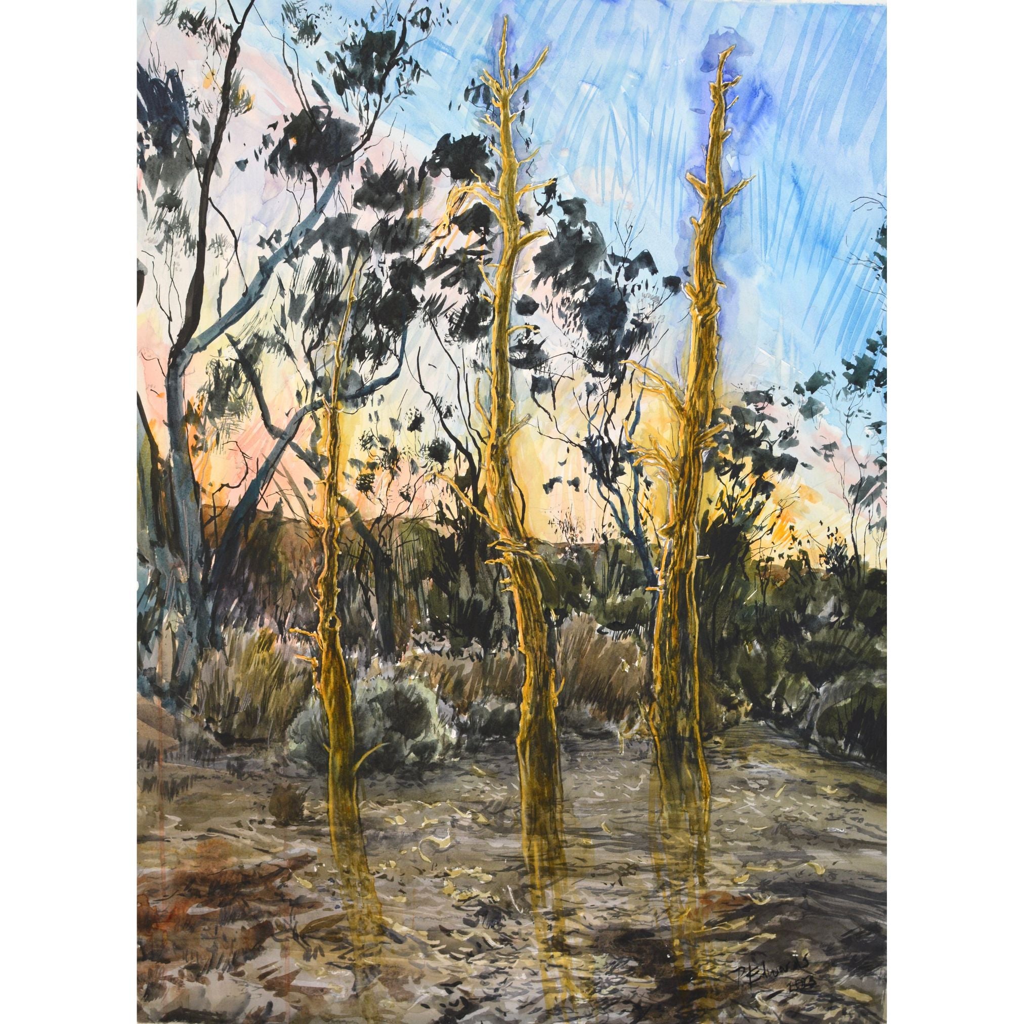 Phillip Edwards - Sacred Trees – SARAH BIRTLES Art + Advice